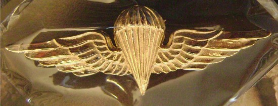 Airborne Wings JORDAN cb $9.99